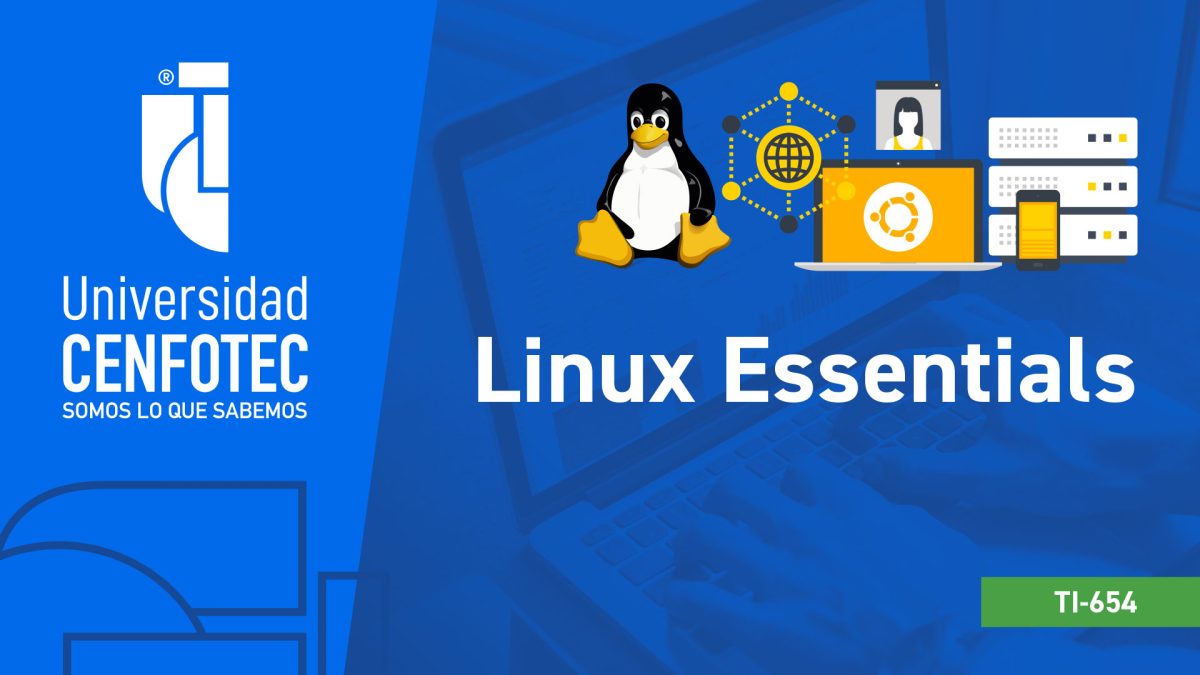 Linux Essentials con examen de certificación